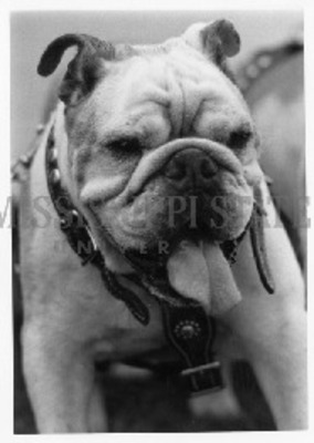 "Bully"