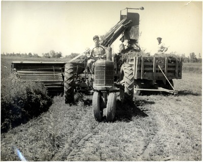 "Harvesting of crop in tractor"